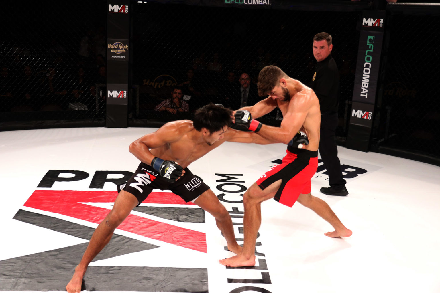 MMA Pro League